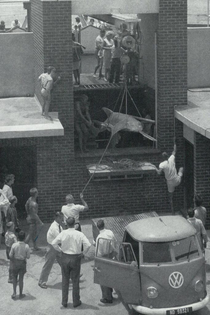 Our History – SAAMBR