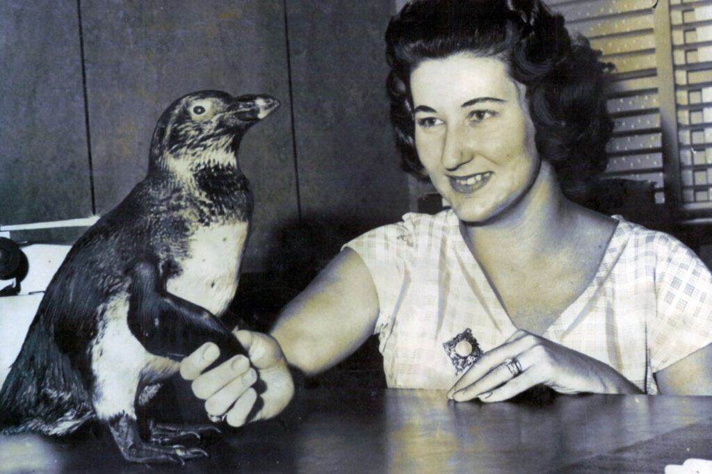 Our History – SAAMBR