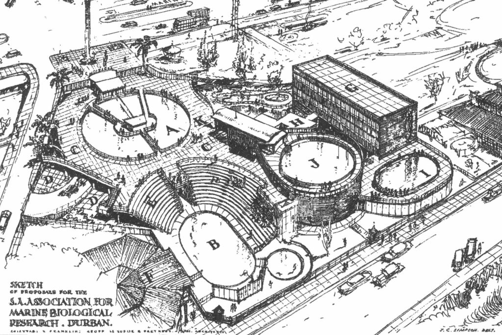 Our History – SAAMBR