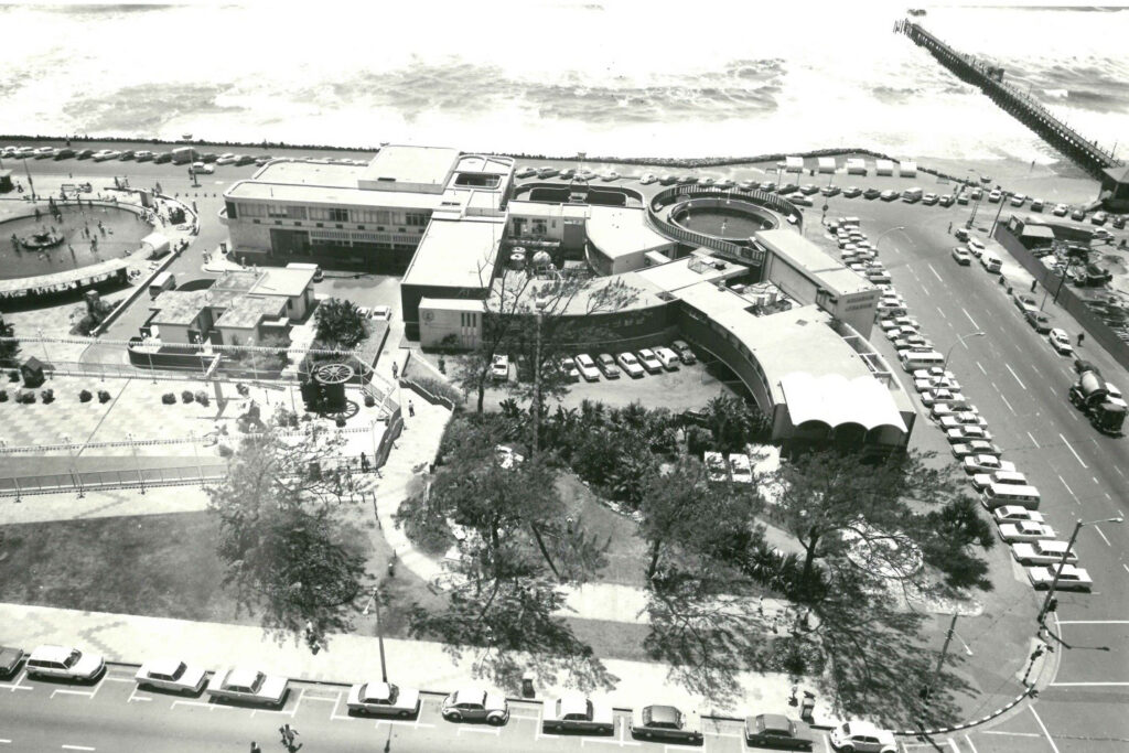 Our History – SAAMBR