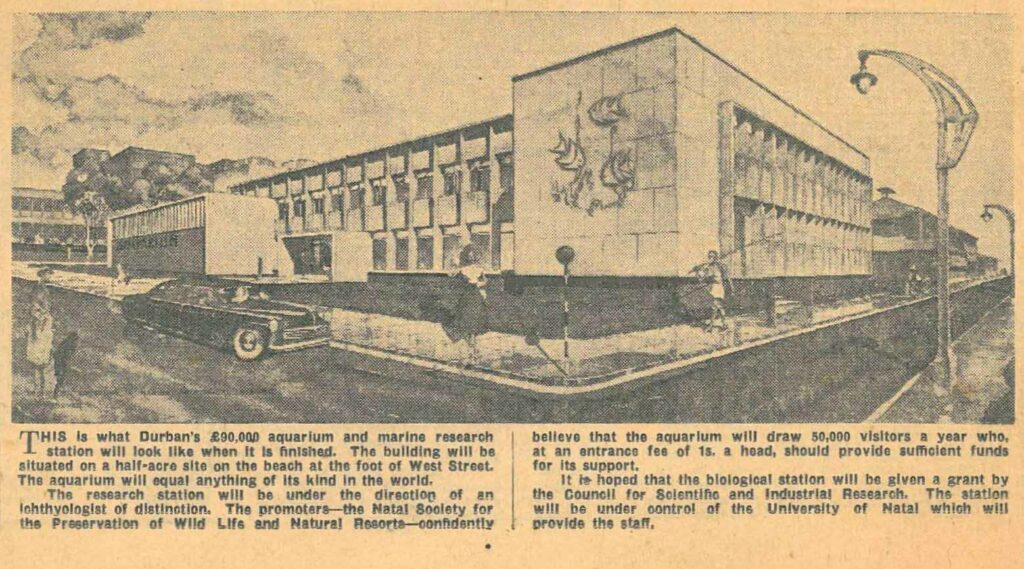 Our History – SAAMBR