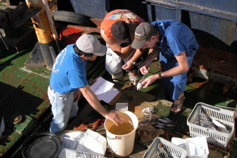 Our History – SAAMBR