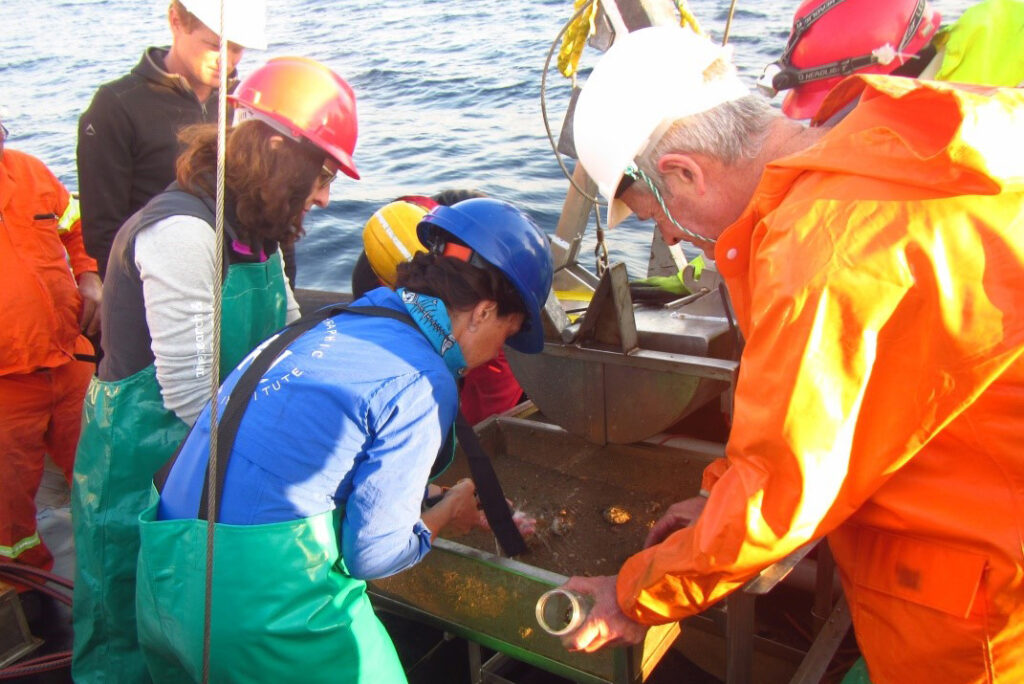 Our History – SAAMBR