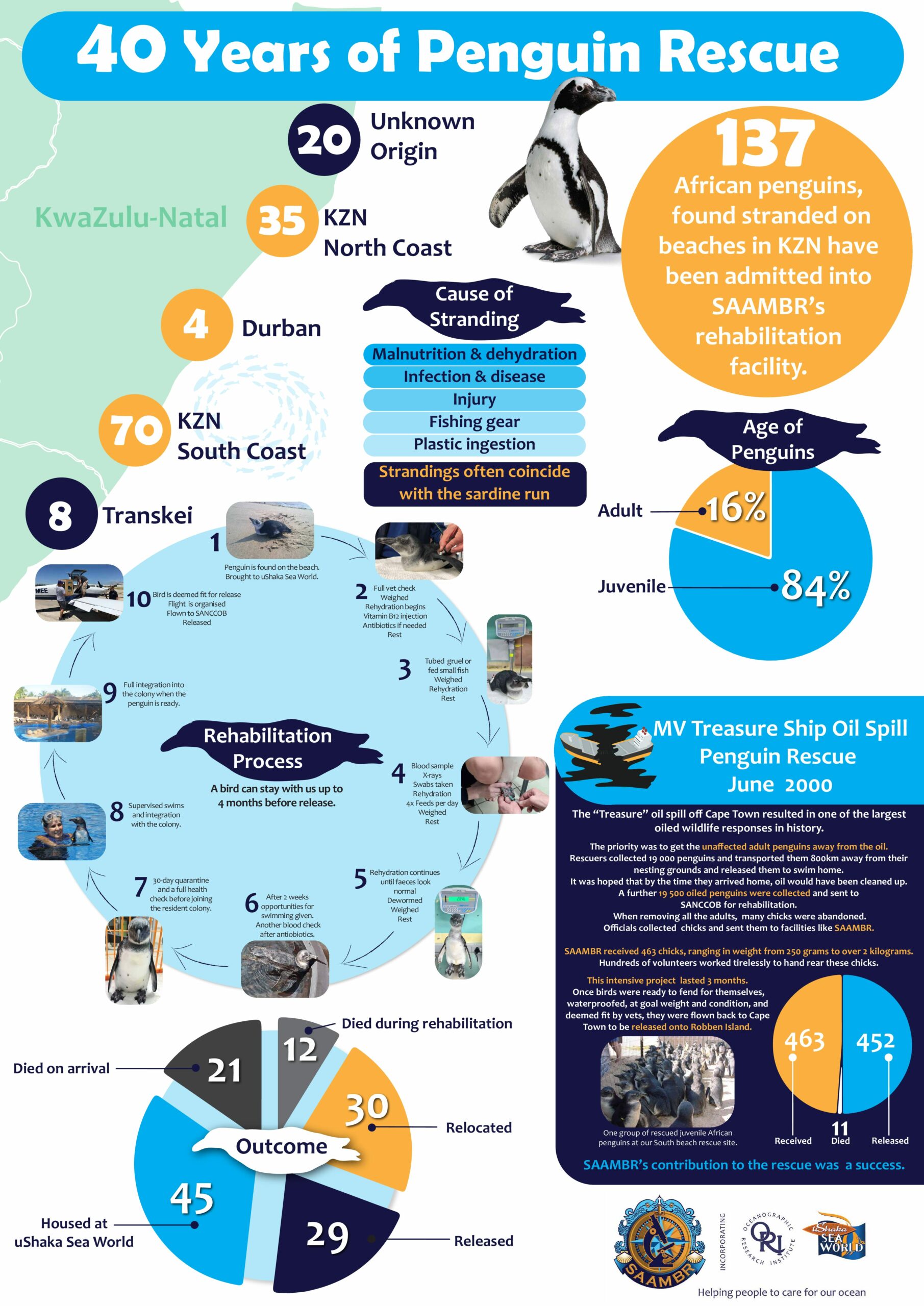 uShaka Sea World – SAAMBR