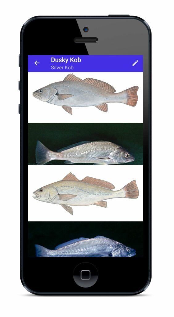APP – Marine Fish Guide for Southern Africa – SAAMBR