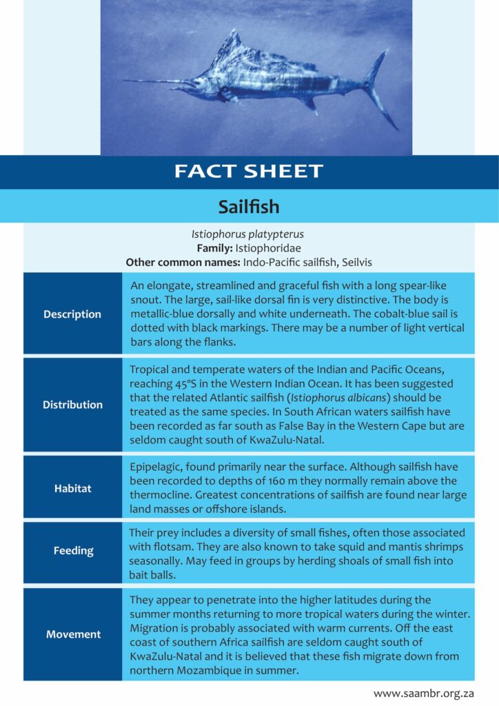 Sailfish – SAAMBR