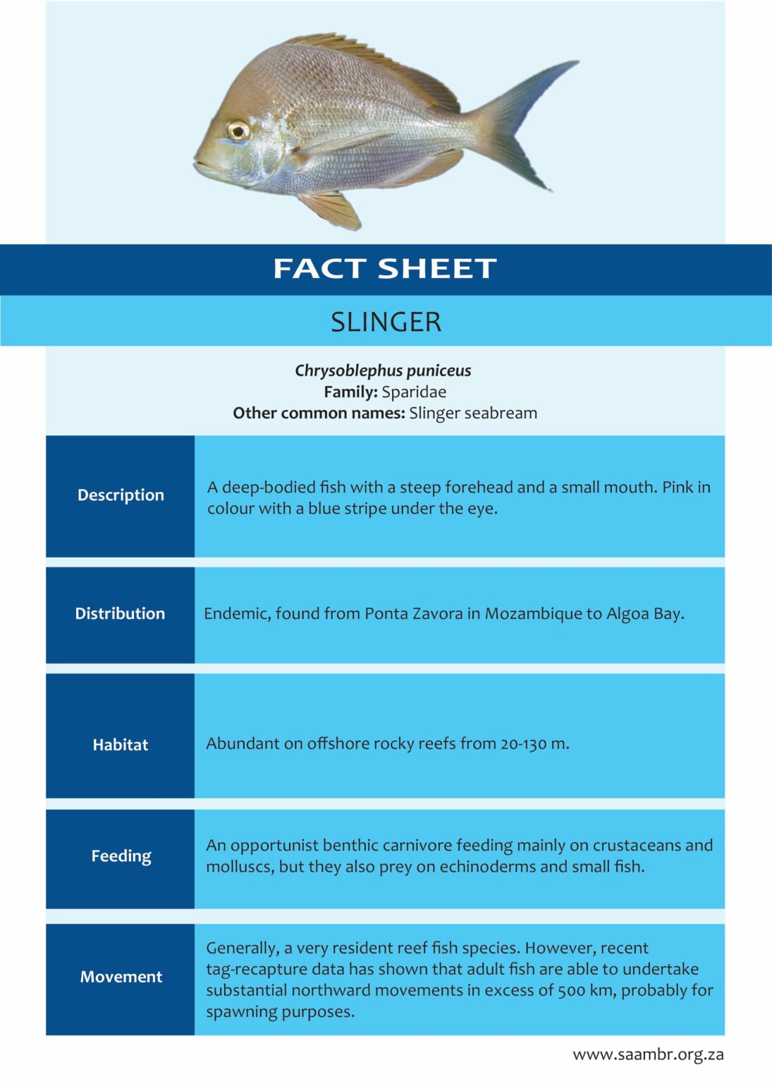 Slinger • SAAMBR