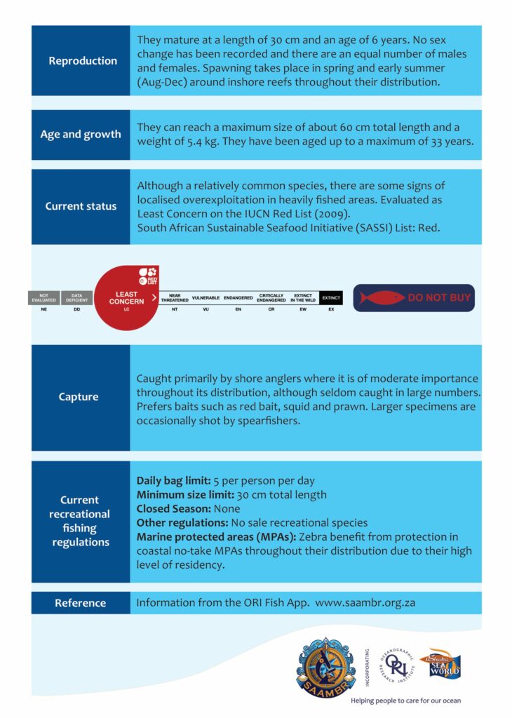 Fish Facts – SAAMBR